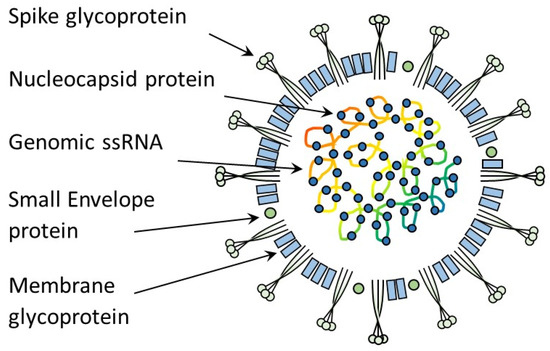 Viruses | Free Full-Text | Feline Infectious Peritonitis: European ...