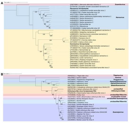 Mining Public Data to Investigate the Virome of Neglected Pollinators ...