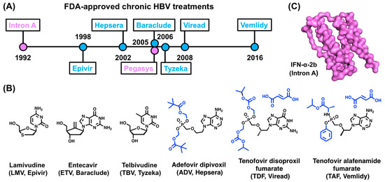Hepatitis B Virus Epsilon (ε) RNA Element: Dynamic Regulator of Viral ...