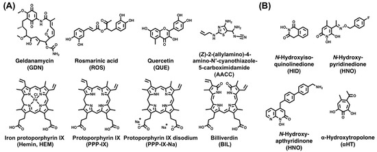 Hepatitis B Virus Epsilon (ε) RNA Element: Dynamic Regulator of Viral ...