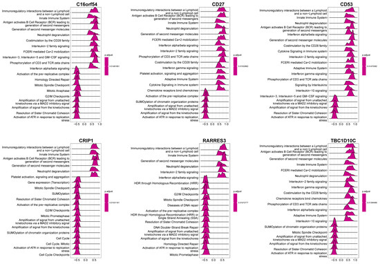 EBV-Associated Hub Genes as Potential Biomarkers for Predicting the ...