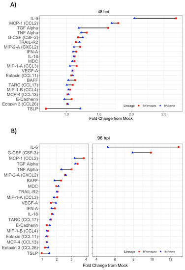 The Influenza B Virus Victoria and Yamagata Lineages Display Distinct ...