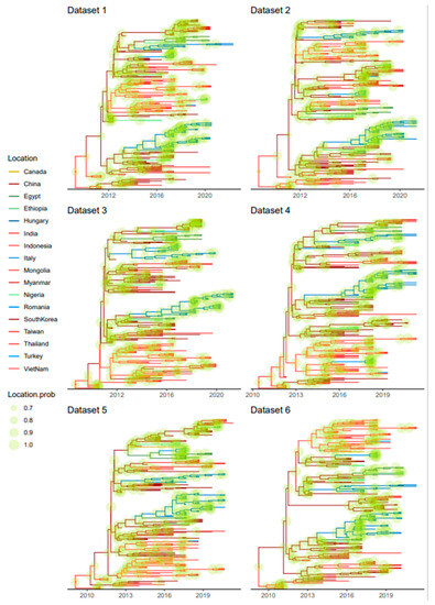 Not Asian Anymore: Reconstruction of the History, Evolution, and ...