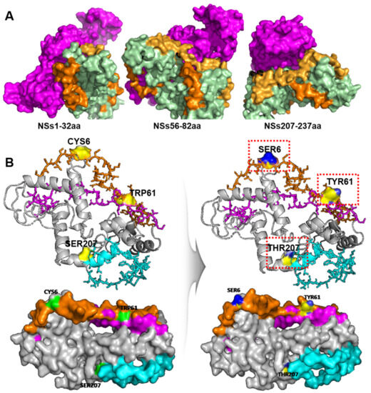 Non-Structural Protein-W61 as a Novel Target in Severe Fever with ...