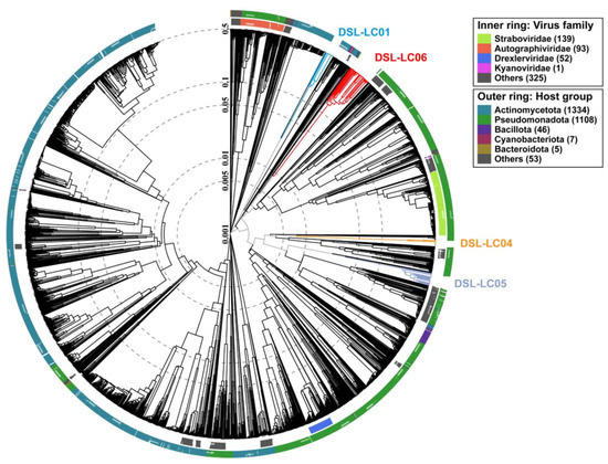 Genomic Analysis and Taxonomic Characterization of Seven Bacteriophage ...