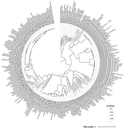 Genomic Analysis and Taxonomic Characterization of Seven Bacteriophage ...