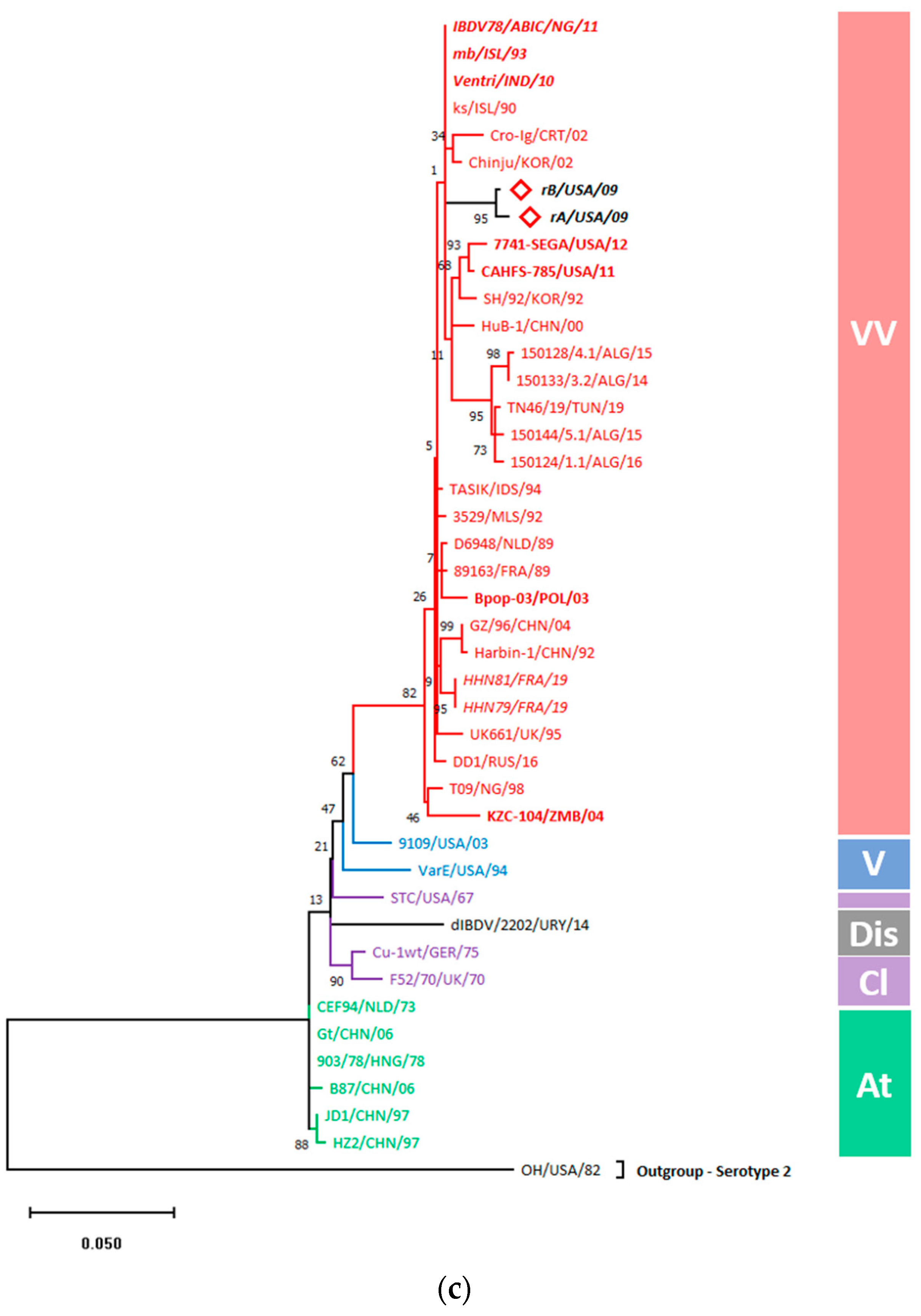 Whole Genome Sequencing of Infectious Bursal Disease Viruses Isolated ...