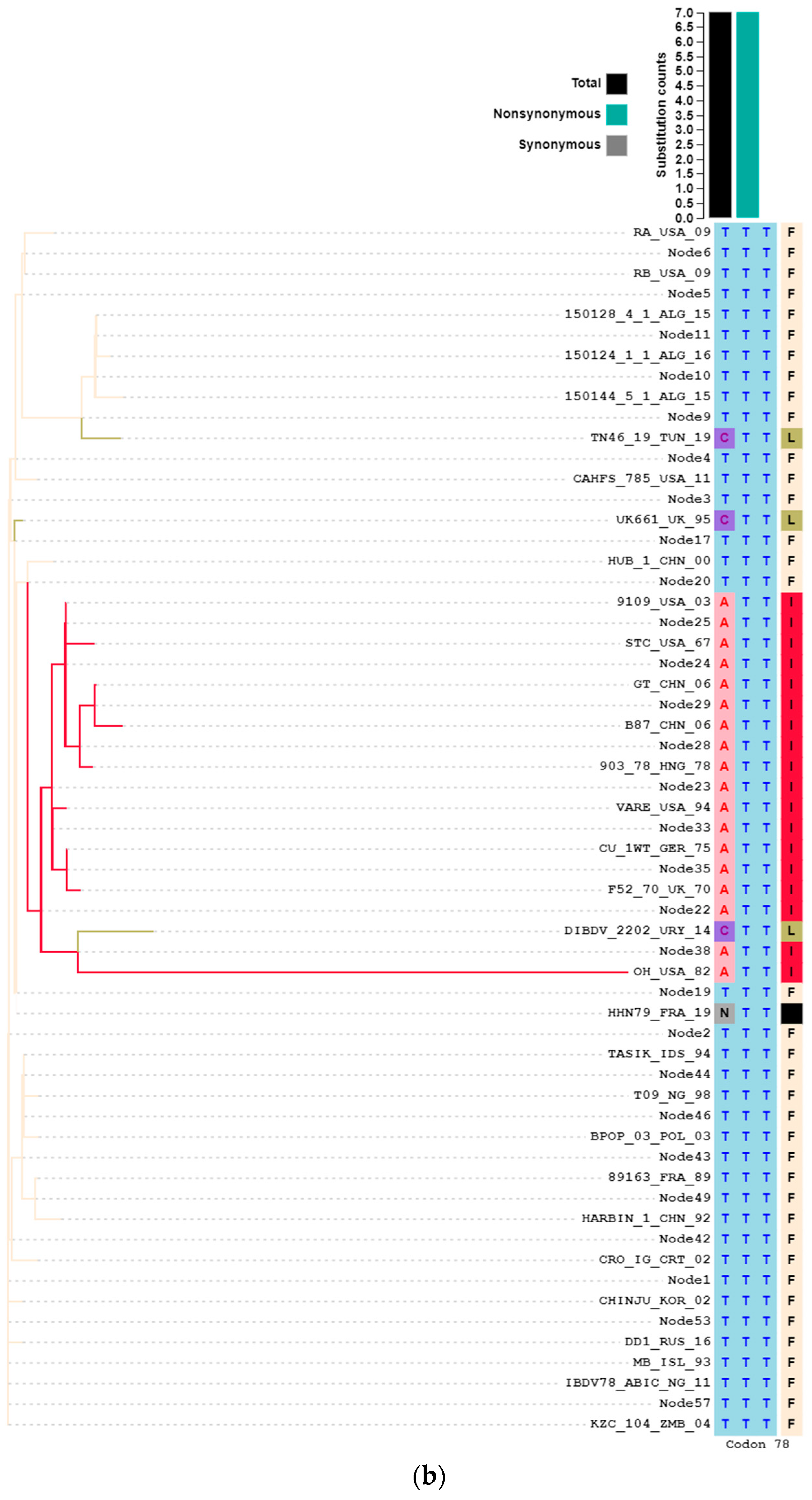 Whole Genome Sequencing of Infectious Bursal Disease Viruses Isolated ...