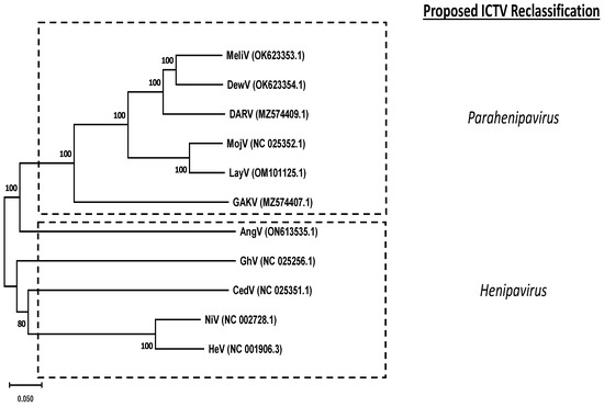 A Survey of Henipavirus Tropism—Our Current Understanding from a ...