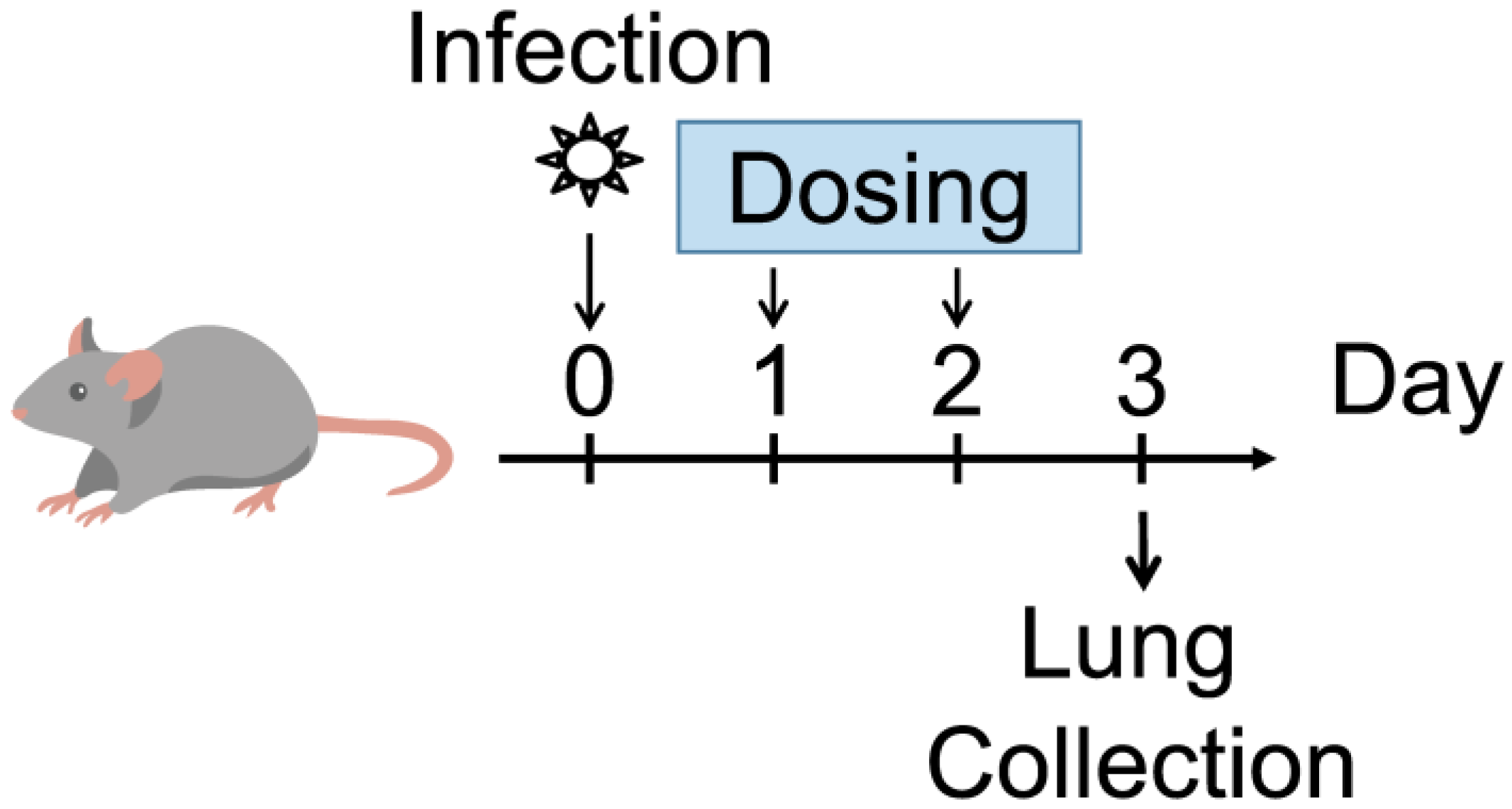 Pharmacokinetic and Pharmacodynamic Analysis of the 3CL Protease ...