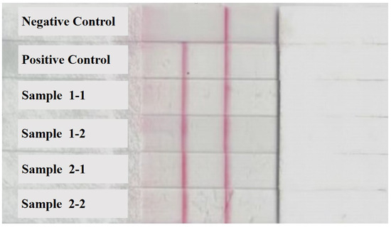 FAdV-4 Promotes Expression of Multiple Cytokines and Inhibits the ...