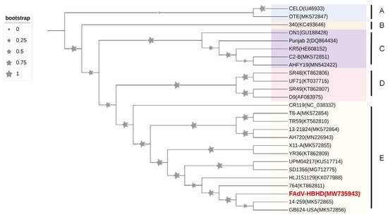 FAdV-4 Promotes Expression of Multiple Cytokines and Inhibits the ...