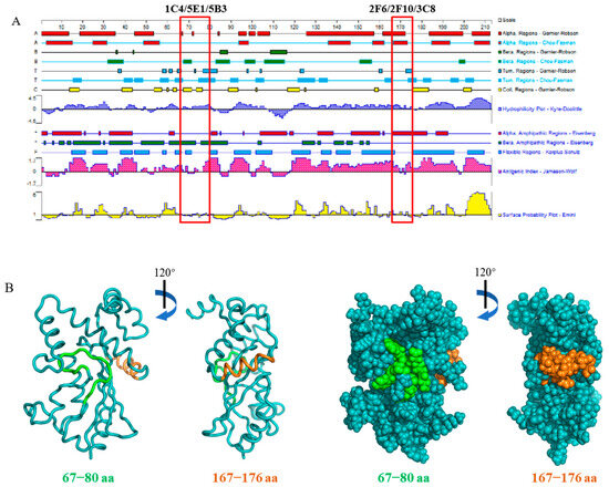 Novel Epitope Mapping of African Swine Fever Virus pI215L Protein Using ...