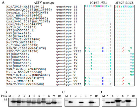 Novel Epitope Mapping of African Swine Fever Virus pI215L Protein Using ...