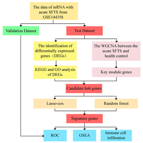 Identification and Analysis of a Four-Gene Set for Diagnosing SFTS Virus Infection Based on ...