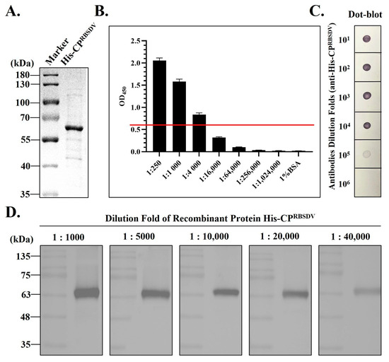 Development of Polyclonal Antibodies and a Serological-Based Reverse ...