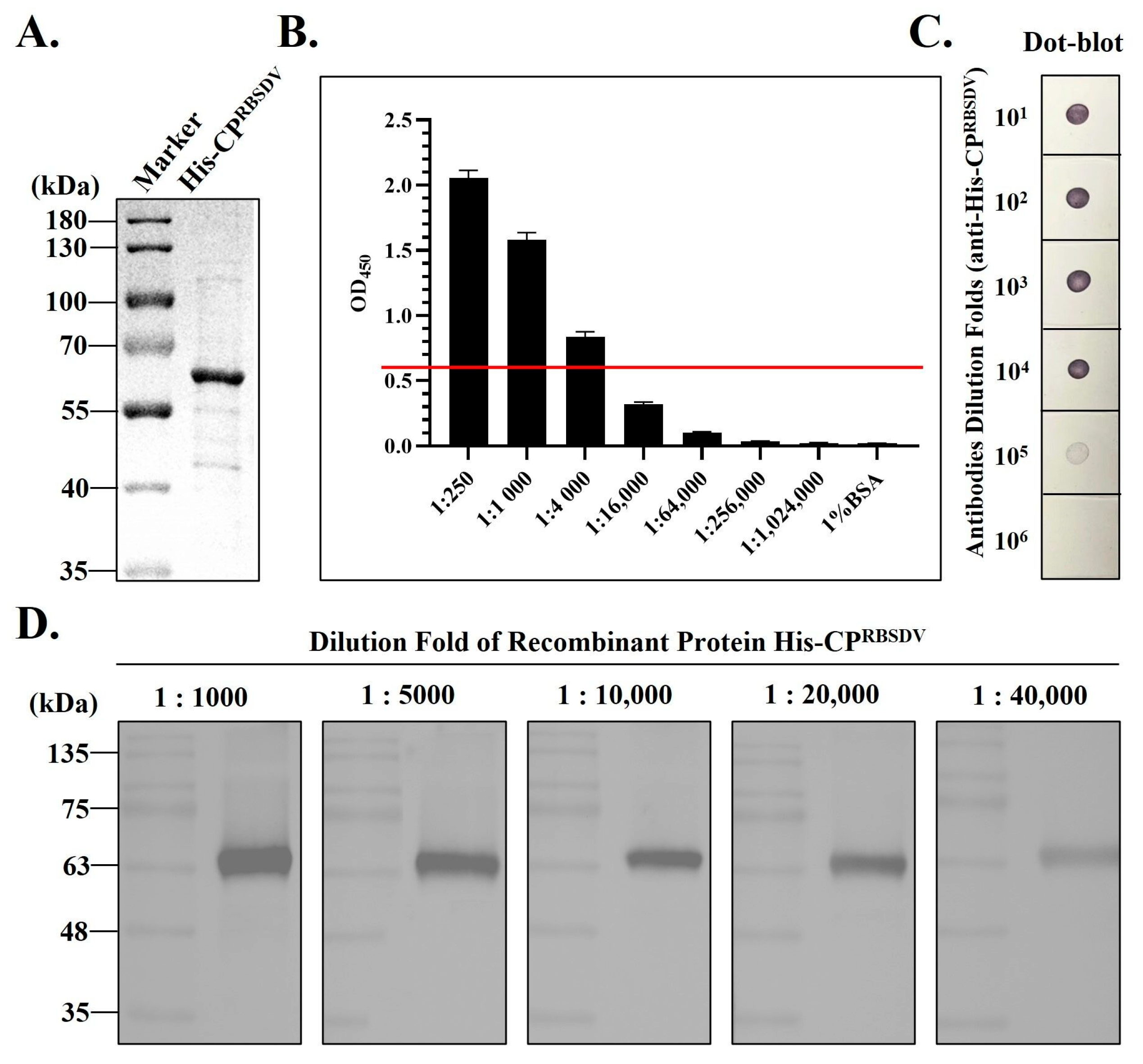 Development of Polyclonal Antibodies and a Serological-Based Reverse ...