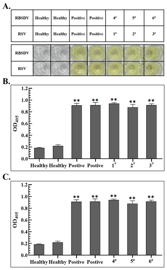Development of Polyclonal Antibodies and a Serological-Based Reverse ...
