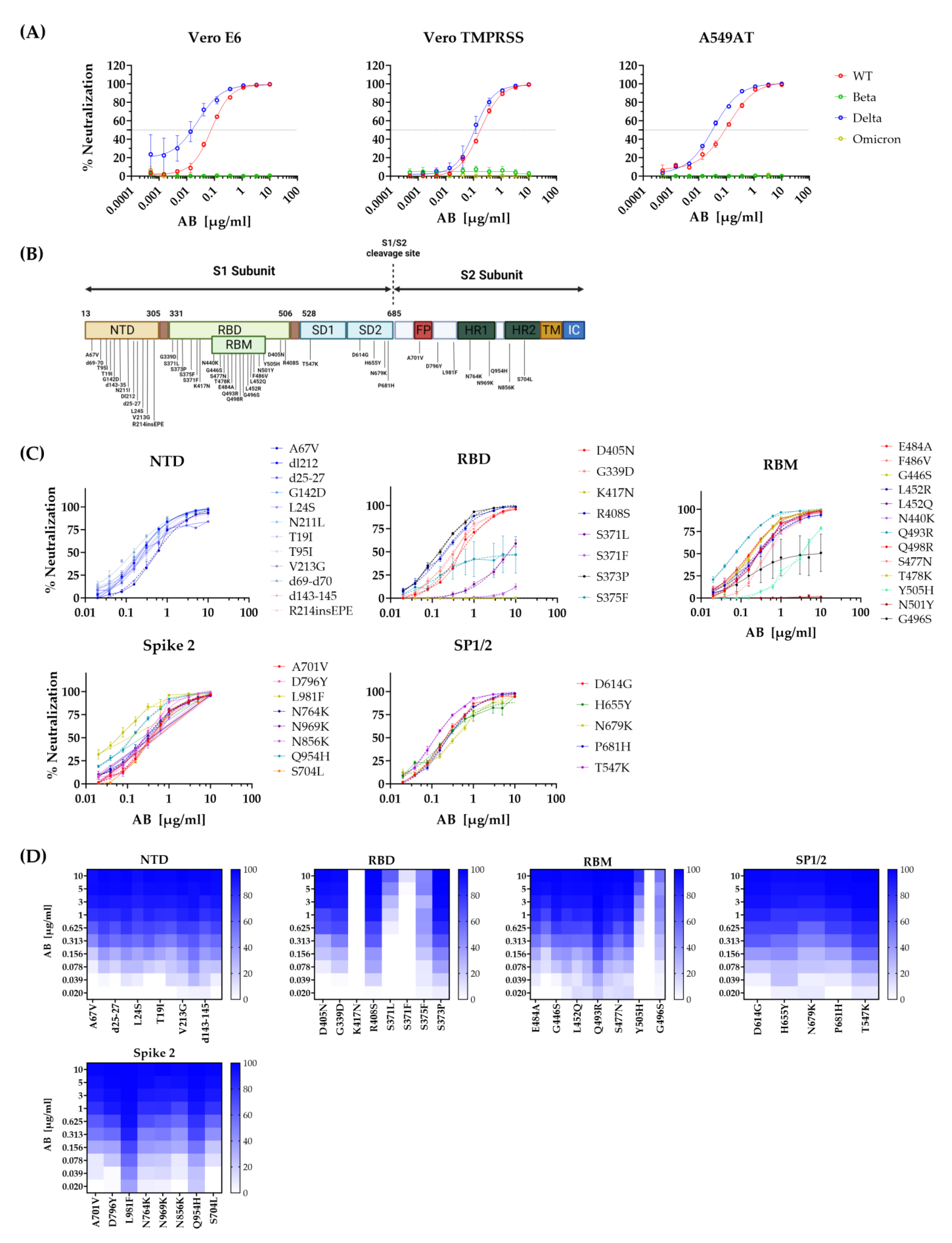 Evaluation of the Neutralizing Antibody STE90-C11 against SARS-CoV-2 Delta Infection and Its ...