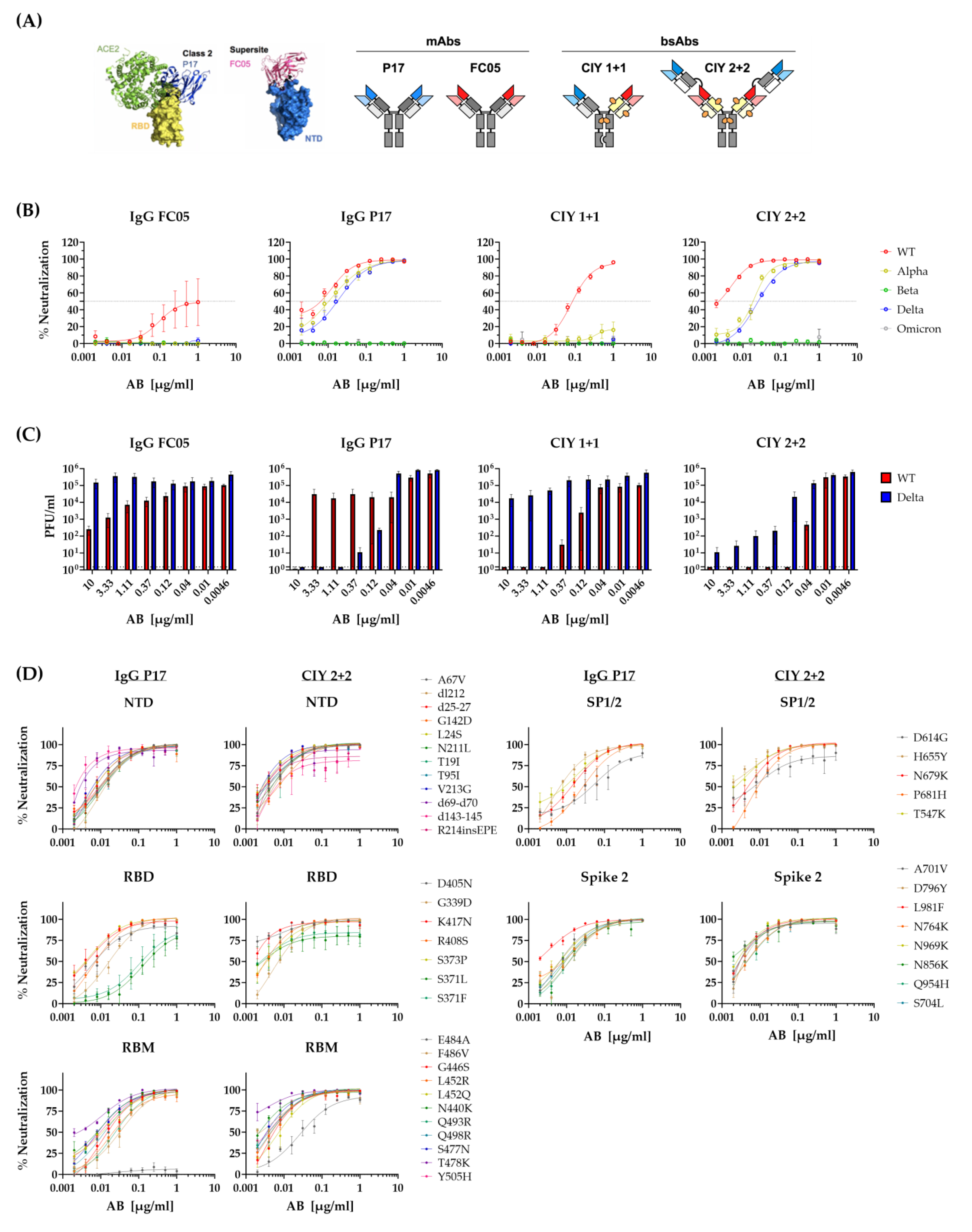 Evaluation of the Neutralizing Antibody STE90-C11 against SARS-CoV-2 Delta Infection and Its ...