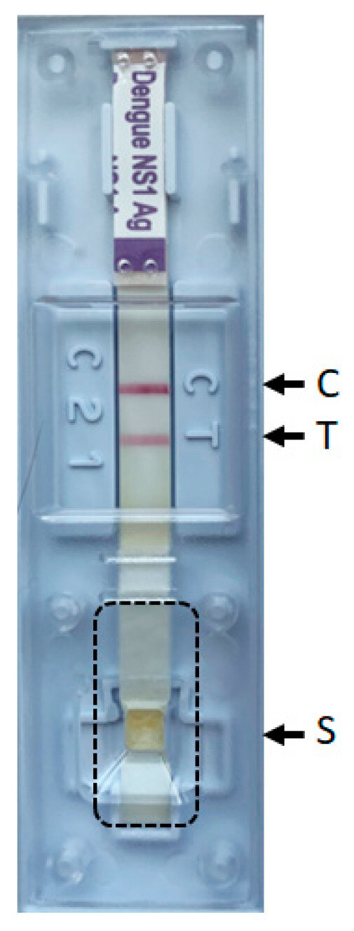 Direct Dengue Virus Genome Sequencing from Antigen NS1 Rapid Diagnostic ...