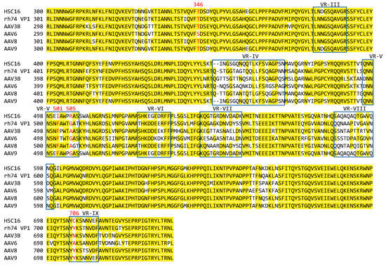 Rational Design of AAV-rh74, AAV3B, and AAV8 with Limited Liver Targeting