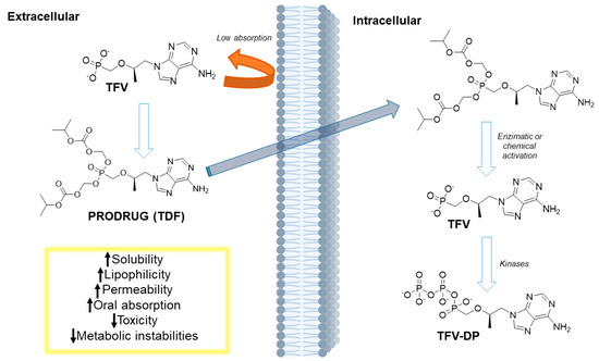 The Application of Prodrugs as a Tool to Enhance the Properties of ...