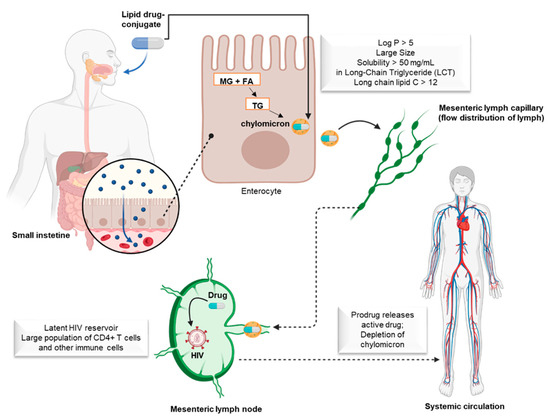 The Application of Prodrugs as a Tool to Enhance the Properties of ...
