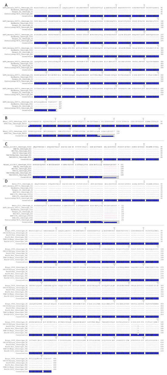A Re-Evaluation of African Swine Fever Genotypes Based on p72 Sequences ...