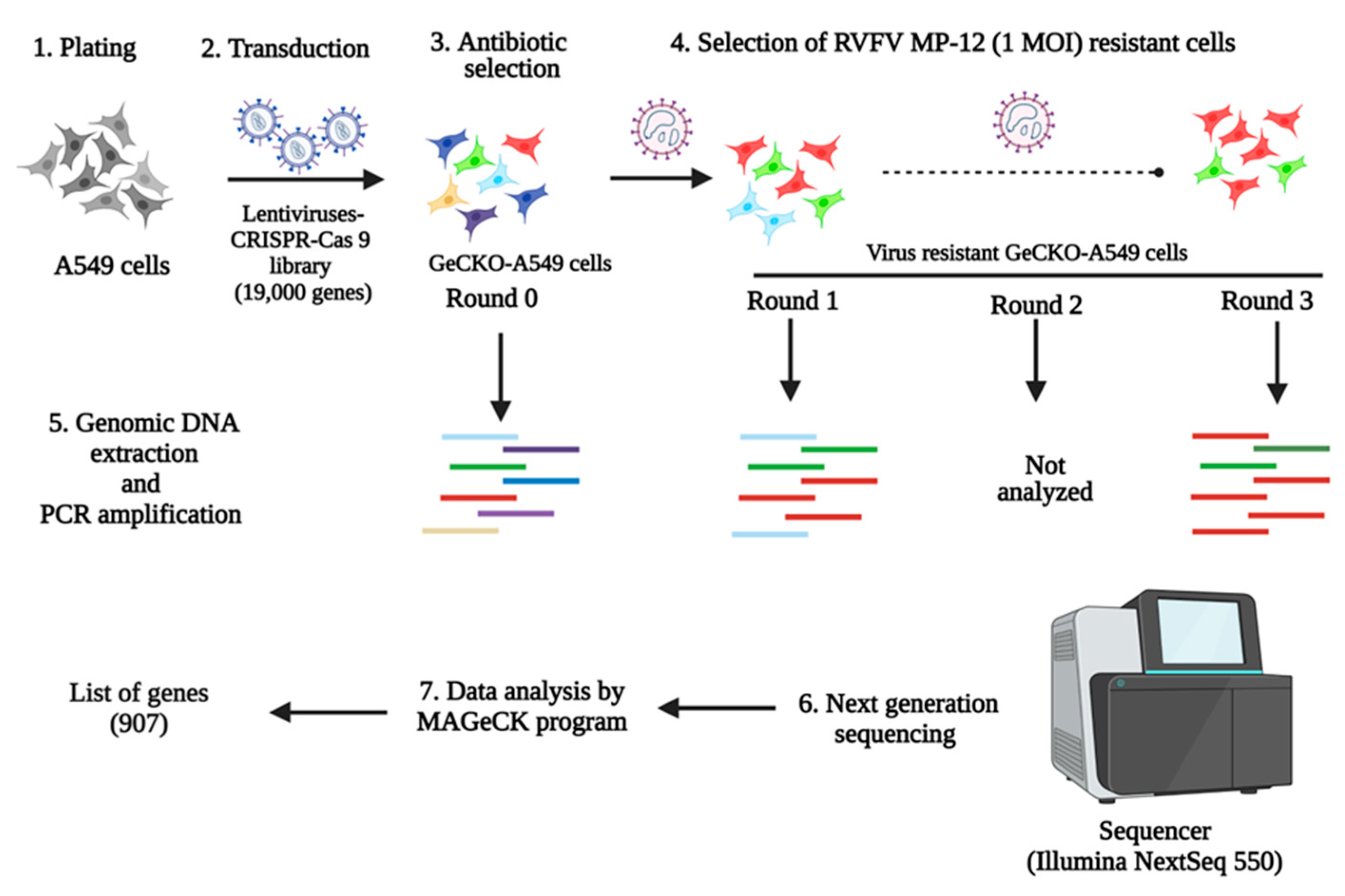 Identification of Host Factors for Rift Valley Fever Phlebovirus