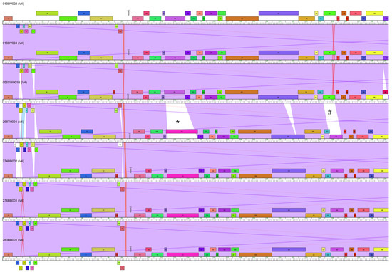 A Novel Subcluster of Closely Related Bacillus Phages with Distinct ...