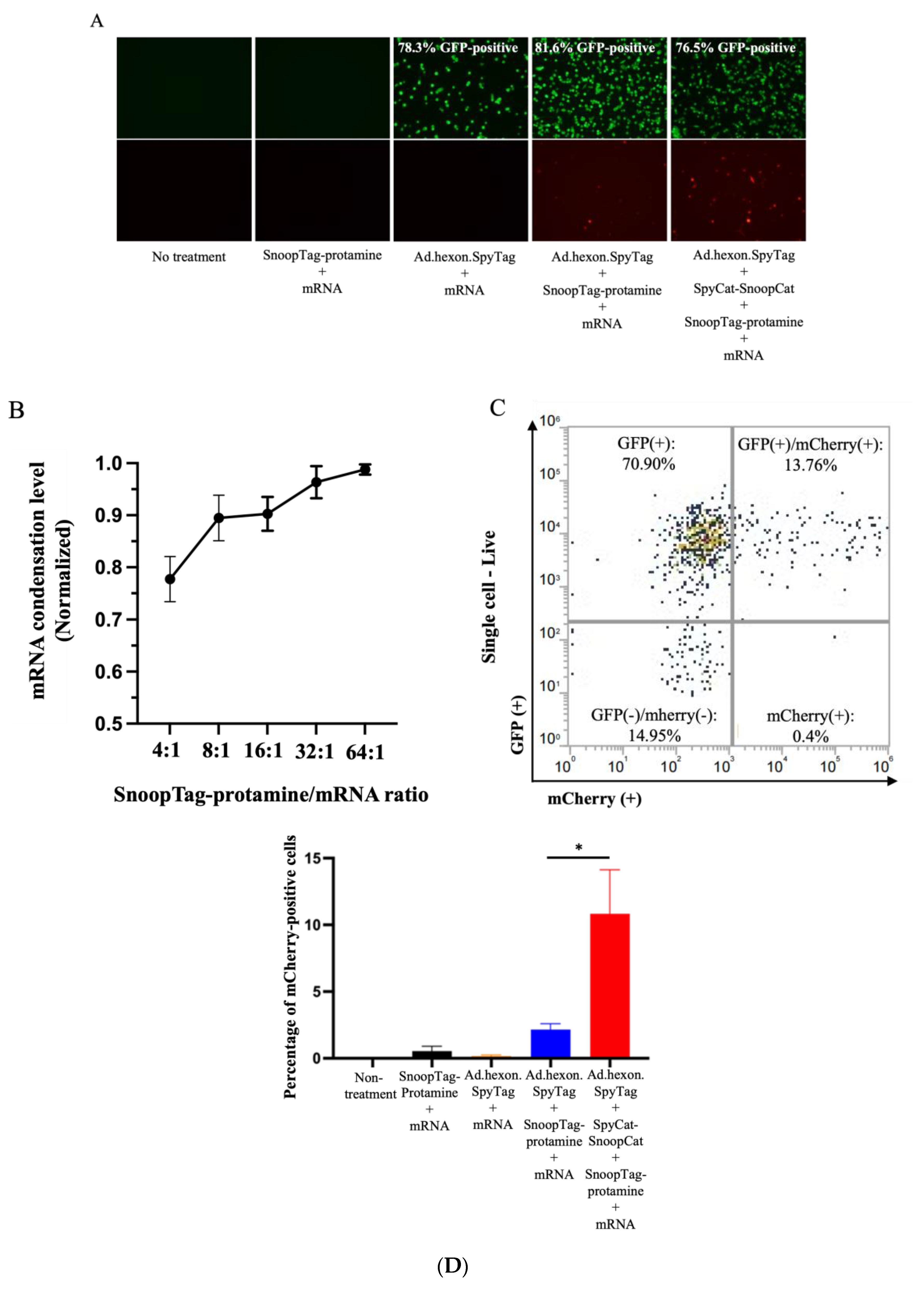 Engineering a Novel Modular Adenoviral mRNA Delivery Platform Based on ...