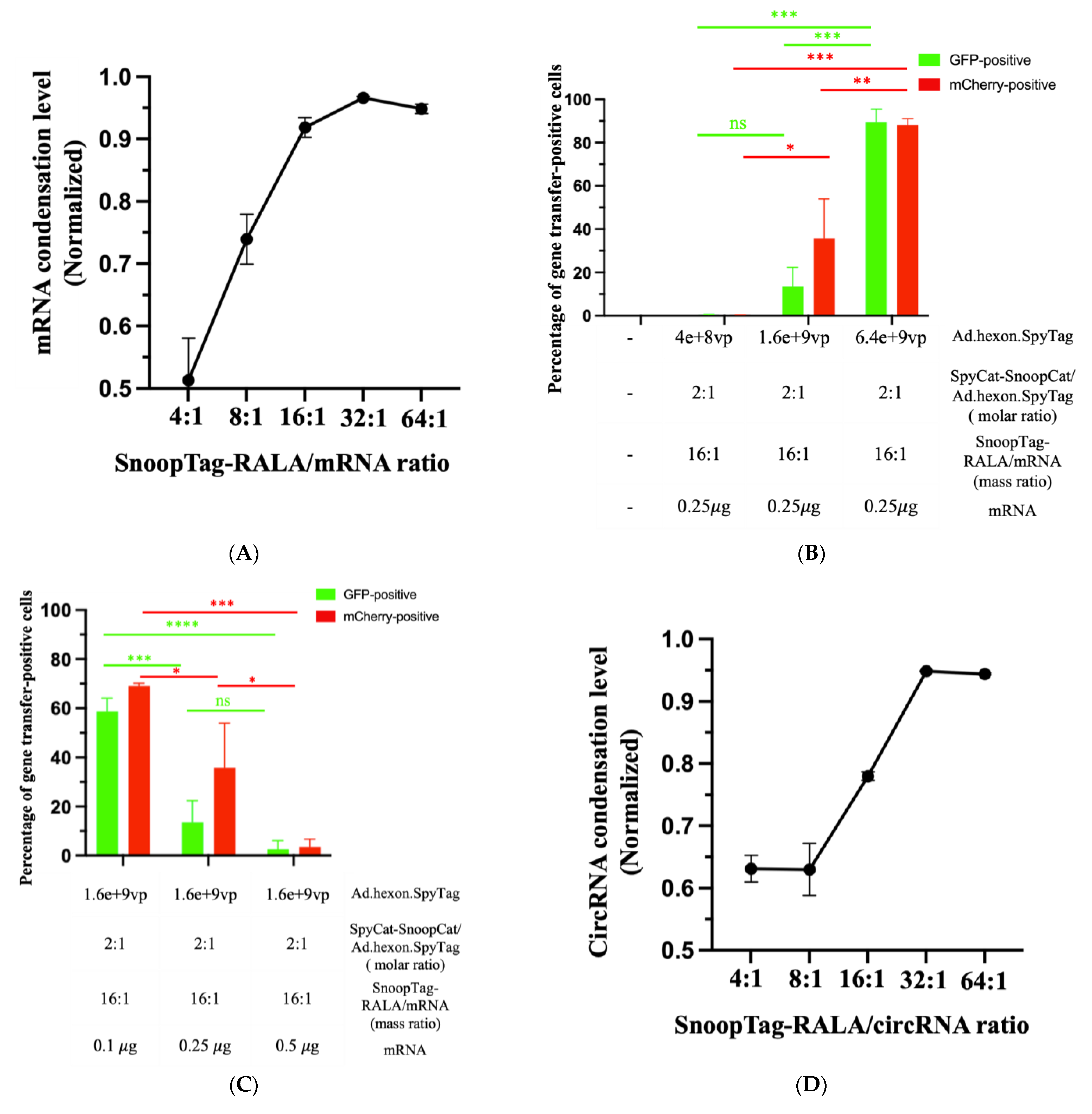 Engineering a Novel Modular Adenoviral mRNA Delivery Platform Based on ...