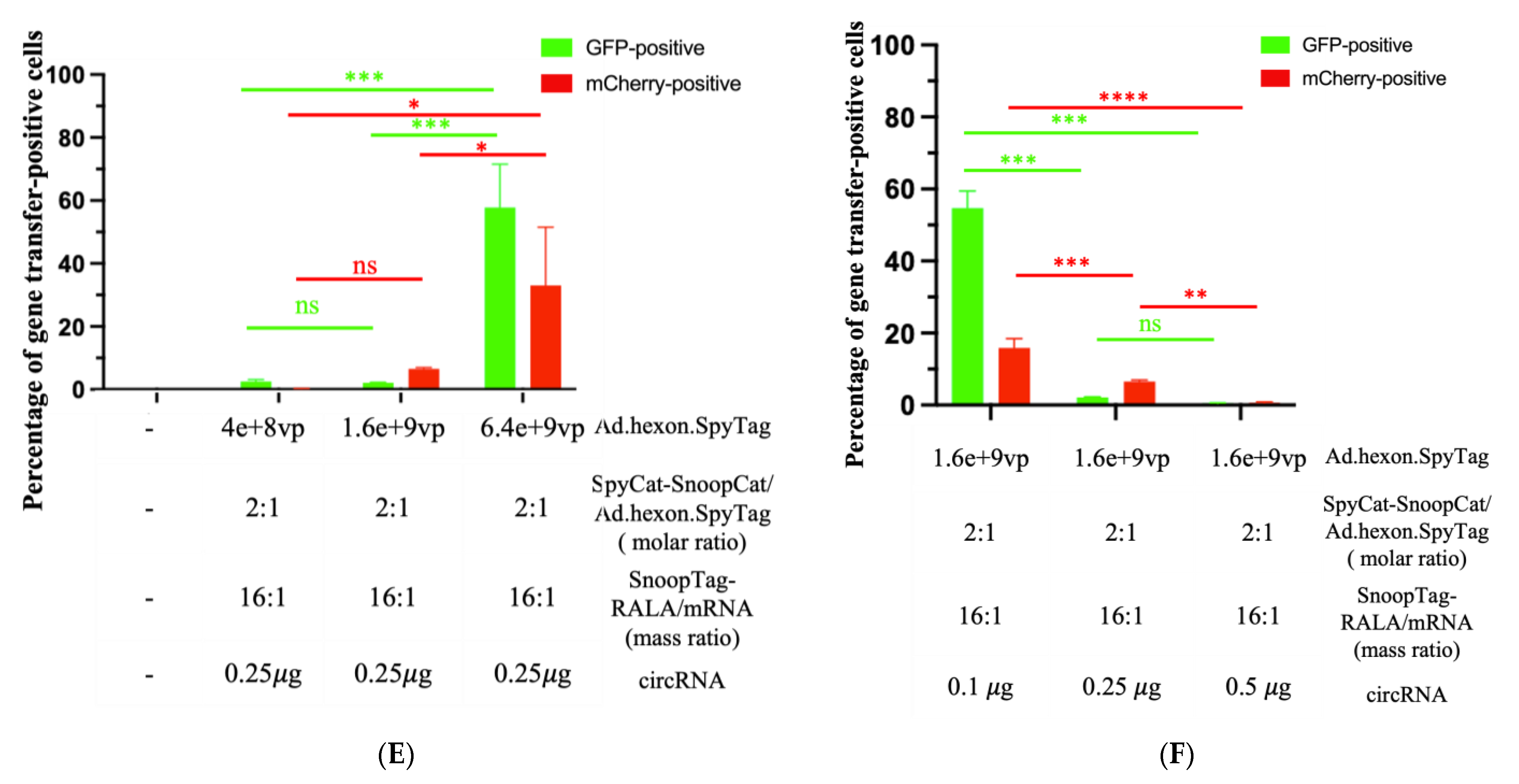 Engineering a Novel Modular Adenoviral mRNA Delivery Platform Based on ...