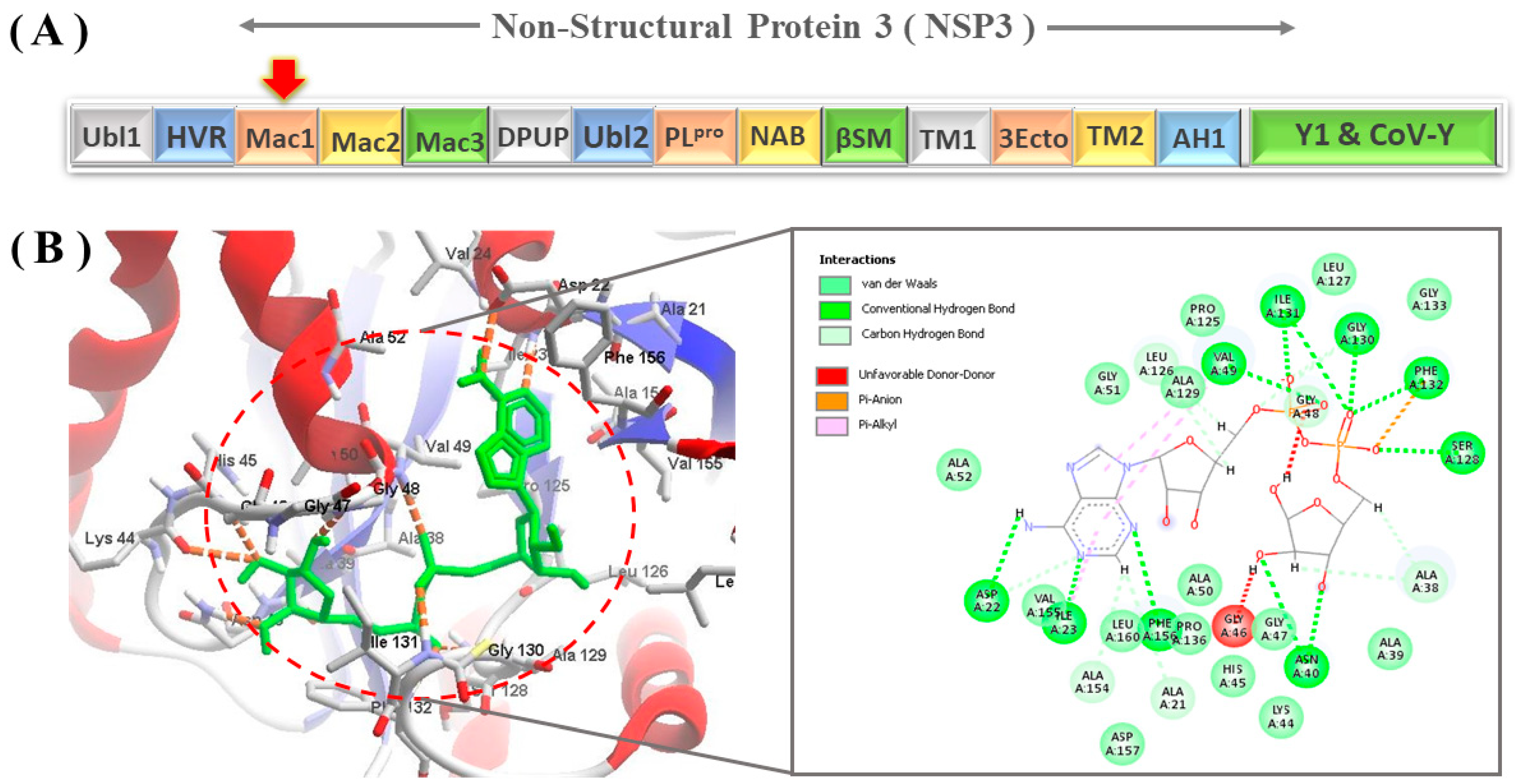Structure-Based High-Throughput Virtual Screening and Molecular Dynamics Simulation for the ...