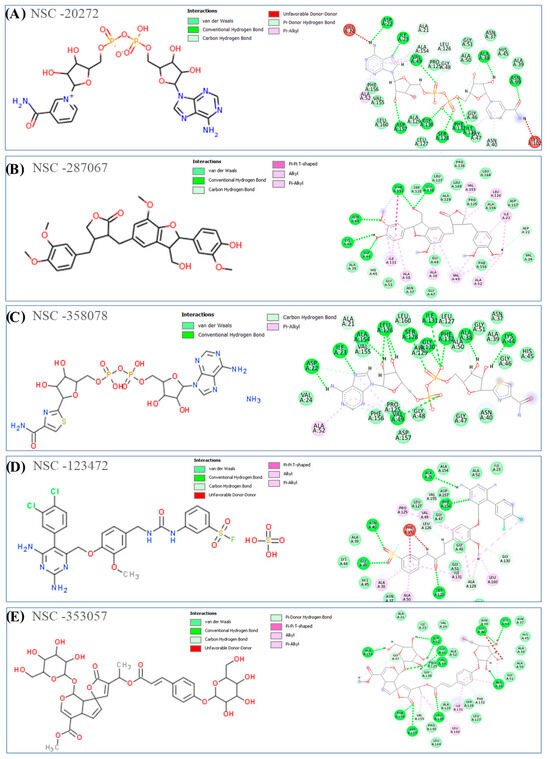 Structure-Based High-Throughput Virtual Screening and Molecular Dynamics Simulation for the ...