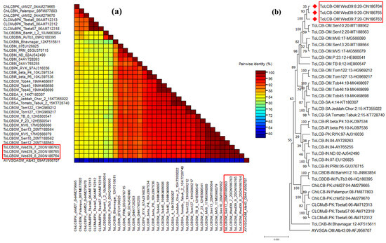 Molecular Signature of a Novel Alternanthera Yellow Vein Virus Variant ...