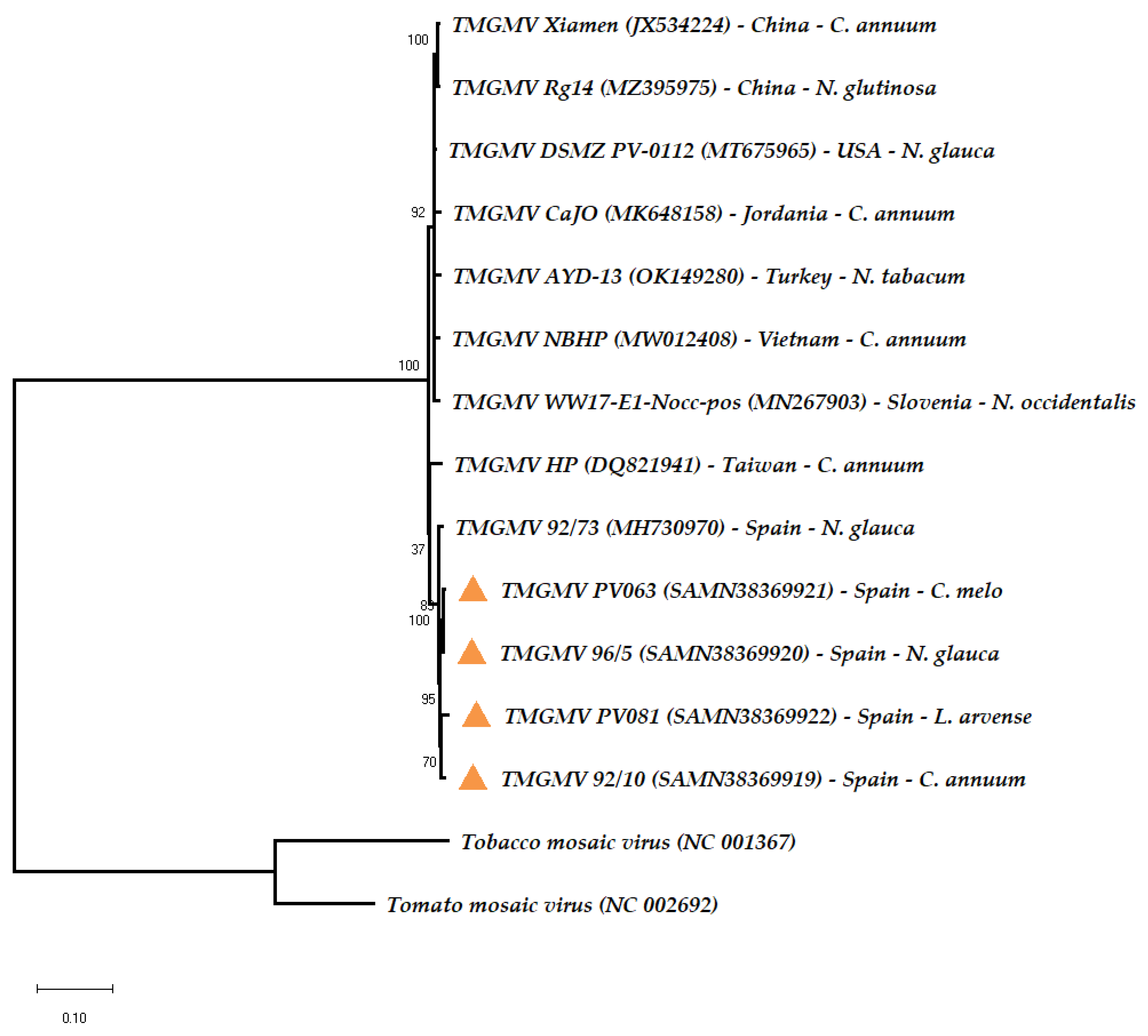 Tobacco Mild Green Mosaic Virus (TMGMV) Isolates from Different Plant ...