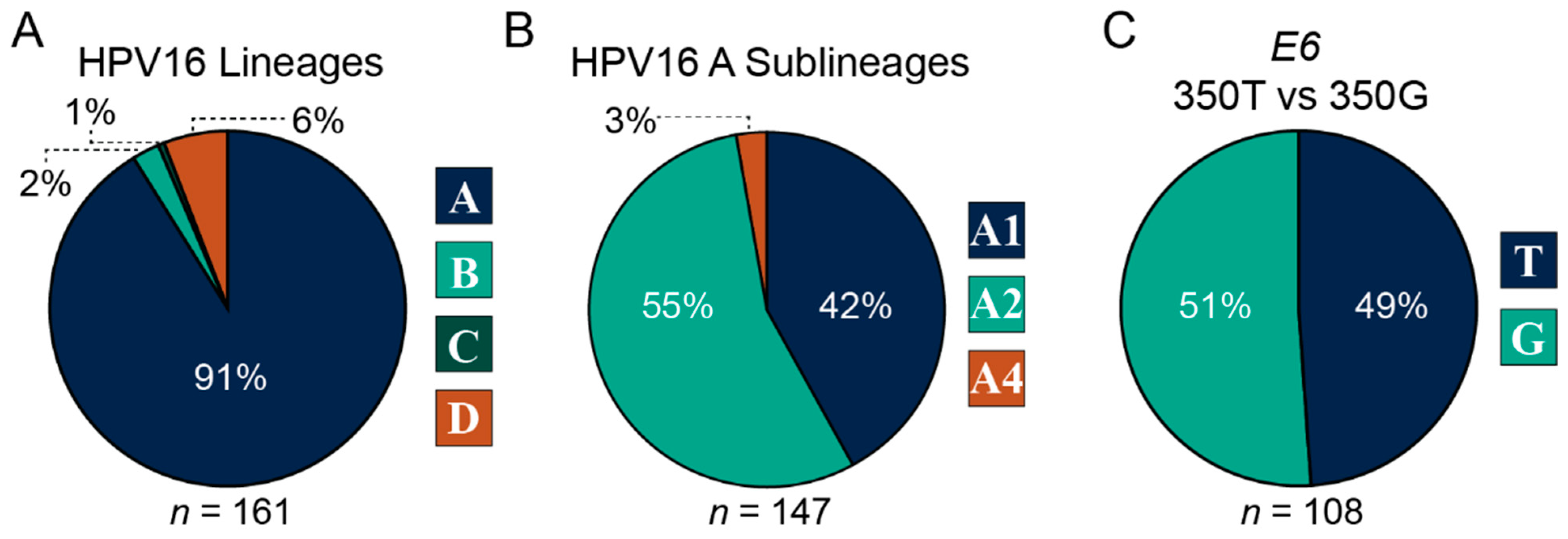 HPV16 Intratypic Variants in Head and Neck Cancers: A North American Perspective