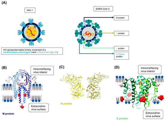 The Antiviral Activity of the Lectin Griffithsin against SARS-CoV-2 Is ...
