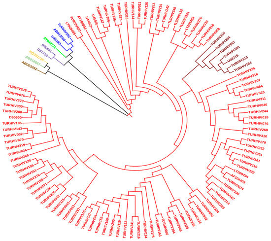 Interplay Between HIV and Human Pegivirus (HPgV) Load in Co-Infected ...