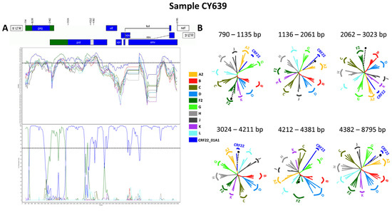 Comprehensive Genetic Characterization of Four Novel HIV-1 Circulating Recombinant Forms (CRF129 ...