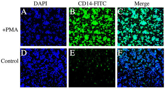 Time-Course Transcriptome Analysis Reveals Distinct Phases and ...