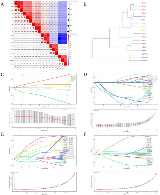 Viruses | Free Full-Text | Time-Course Transcriptome Analysis Reveals ...
