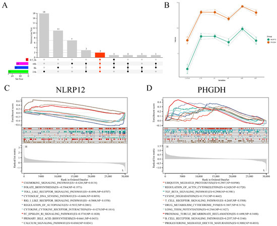 Viruses | Free Full-Text | Time-Course Transcriptome Analysis Reveals ...