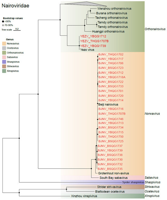 Metatranscriptomics Reveals The Rna Virome Of Ixodes Persulcatus In The China North Korea Border
