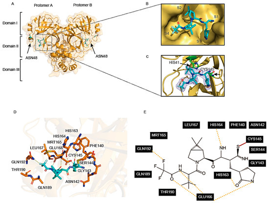 Structural Basis for the Inhibition of SARS-CoV-2 Mpro D48N Mutant by ...