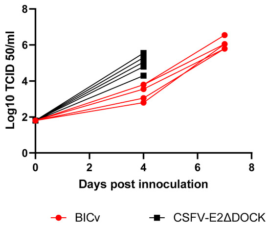 The Interaction between the DOCK7 Protein and the E2 Protein of ...