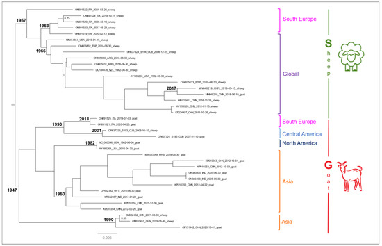 Viruses | Free Full-Text | The Global Evolutionary History of Orf Virus ...