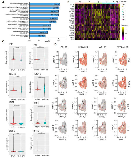 The Inovirus Pf4 Triggers Antiviral Responses and Disrupts the ...